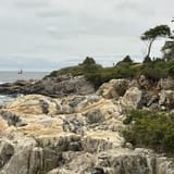 Parson's Way, Maine - 348 Reviews, Map | AllTrails