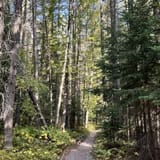 Oxbow Trail, Montana - 244 Reviews, Map | AllTrails