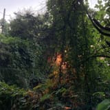 Vulcan Trail, Alabama - 637 Reviews, Map | AllTrails