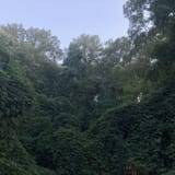 Vulcan Trail, Alabama - 637 Reviews, Map | AllTrails