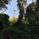 Vulcan Trail, Alabama - 563 Reviews, Map | AllTrails