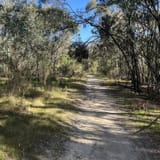 Gresswell Forest Loop, Victoria, Australia - 309 Reviews, Map | AllTrails
