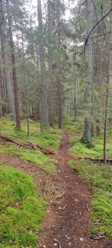 2023 Best Forest Trails in Kindla Naturreservat | AllTrails