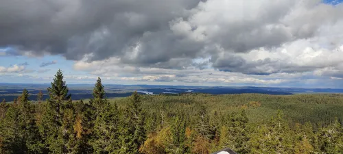 2023 Best Forest Trails in Kindla Naturreservat | AllTrails