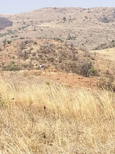 Best Hikes and Trails in Suikerbosrand Nature Reserve | AllTrails