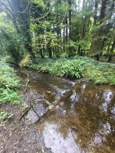 Best Hikes and Trails in Rahin Woods | AllTrails