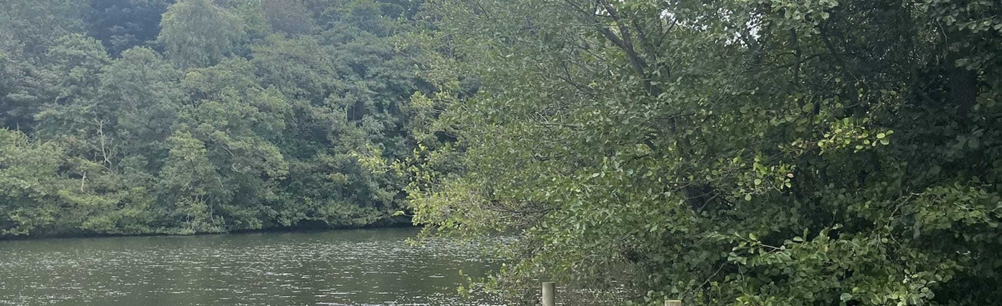 Salhouse Broad, Norfolk, England - 33 Reviews, Map | AllTrails