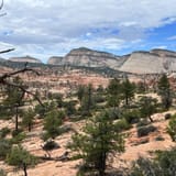 Checkerboard Mesa Canyon Trail, Utah - 197 Reviews, Map | AllTrails
