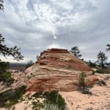 Checkerboard Mesa Canyon Trail, Utah - 197 Reviews, Map | AllTrails