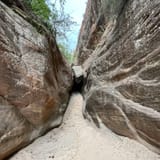 Checkerboard Mesa Canyon Trail, Utah - 177 Reviews, Map | AllTrails