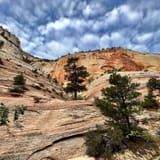 Checkerboard Mesa Canyon Trail, Utah - 177 Reviews, Map | AllTrails