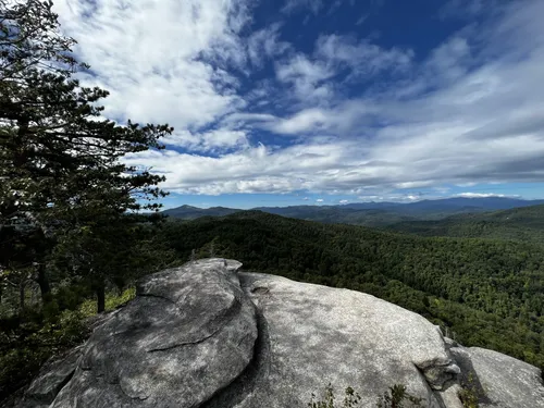 10 Best Trails and Hikes in Black Mountain | AllTrails