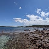 Tomaree Coastal Walk, New South Wales, Australia - 88 Reviews, Map ...