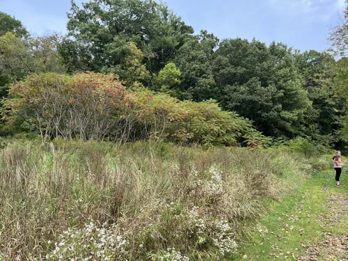 Best Hikes and Trails in Woodside Natural Area | AllTrails