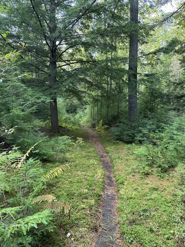 Best Hikes And Trails In Two Ponds Nature Area Alltrails