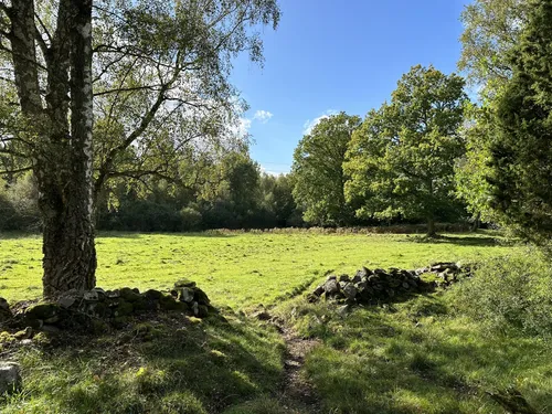 Best Hikes and Trails in Fulltofta naturreservat | AllTrails