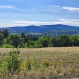 Weston Pass Road, Colorado - 132 Reviews, Map | AllTrails