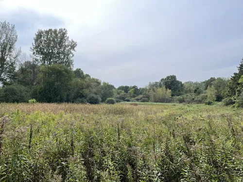 Best Hikes and Trails in Woodside Natural Area | AllTrails