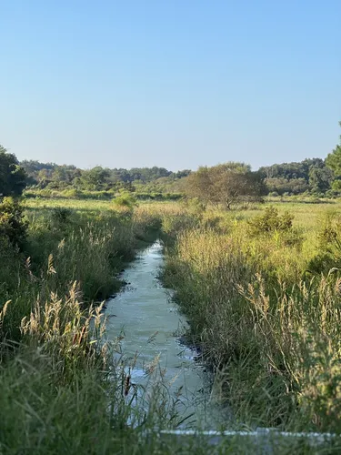 Best Hikes and Trails in Harris Neck National Wildlife Refuge | AllTrails