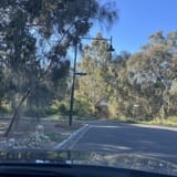 Gresswell Forest Loop, Victoria, Australia - 309 Reviews, Map | AllTrails