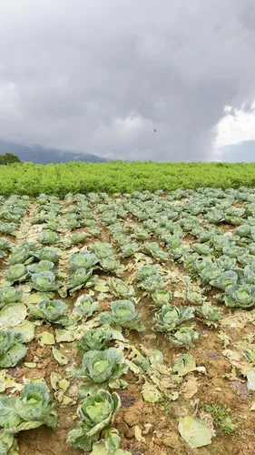 10 Best Hikes and Trails in Upper Agno River Basin | AllTrails