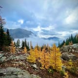 Northover Ridge Loop Trail, Alberta, Canada - 223 Reviews, Map | AllTrails