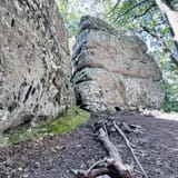 Black Mountain Trail, Tennessee - 218 Reviews, Map | AllTrails