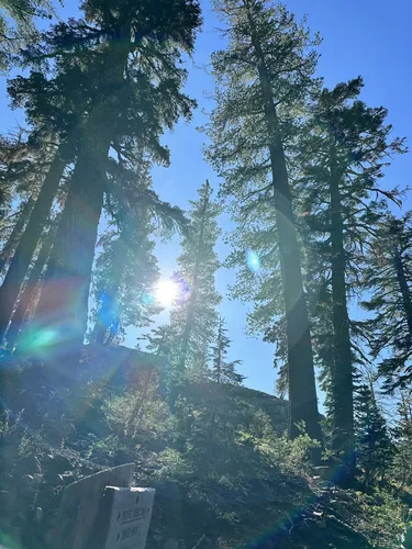 Best Hikes and Trails in Chickering American River Reserve | AllTrails