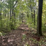 High Point Trail and Rock Top, Illinois - 189 Reviews, Map | AllTrails