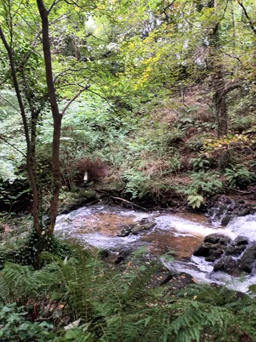 Best Hikes and Trails in Dun na Rí Forest Park | AllTrails