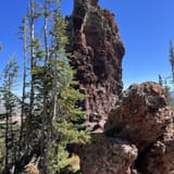 Rabbit Ears Peak Trail, Colorado - 1,591 Reviews, Map | AllTrails