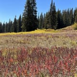 Rabbit Ears Peak Trail, Colorado - 1,591 Reviews, Map | AllTrails