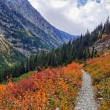 Rowe Lakes, Alberta, Canada - 572 Reviews, Map | AllTrails