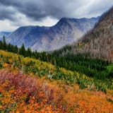 Rowe Lakes, Alberta, Canada - 572 Reviews, Map | AllTrails