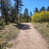 Disappointment Falls via Lady Moon Trail, Colorado - 724 Reviews, Map ...