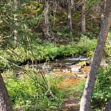 Weston Pass Road, Colorado - 132 Reviews, Map | AllTrails