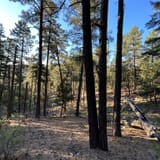 Grindstone Canyon Loop, New Mexico - 1,520 Reviews, Map | AllTrails