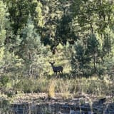 Grindstone Canyon Loop, New Mexico - 1,520 Reviews, Map | AllTrails