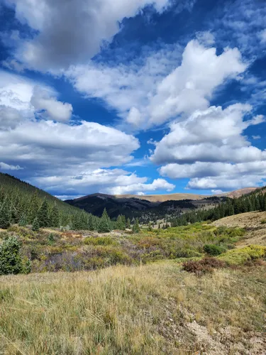 Best Scenic Driving Trails in San Isabel National Forest | AllTrails