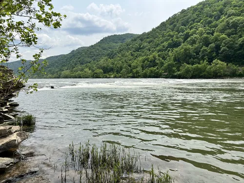 Best Forest Trails in Shady Spring | AllTrails