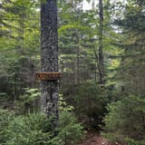 Rainbow Loop Trail, Maine - 56 Reviews, Map | AllTrails