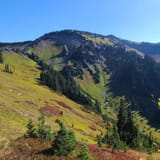 Tatoosh Ridge Trail, Washington - 366 Reviews, Map | AllTrails