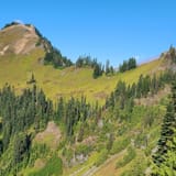 Tatoosh Ridge Trail, Washington - 366 Reviews, Map | AllTrails
