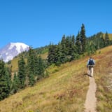 Tatoosh Ridge Trail, Washington - 366 Reviews, Map | AllTrails