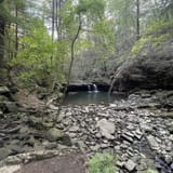 Fiery Gizzard Loop, Tennessee - 1,039 Reviews, Map | AllTrails