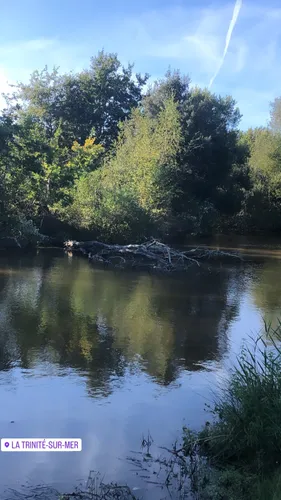 Best Walking Trails in La Trinité-sur-Mer | AllTrails