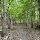 Mogadore Reservoir via Buckeye Trail, Ohio - 492 Reviews, Map | AllTrails
