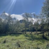 Walter Bean Grand River Trail (RIM Park), Ontario, Canada - 123 Reviews ...