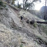 Ladybug Trail, California - 251 Reviews, Map | AllTrails