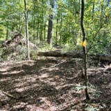 Bartram Trail: West Dam Recreation Area to Washington Road, South ...